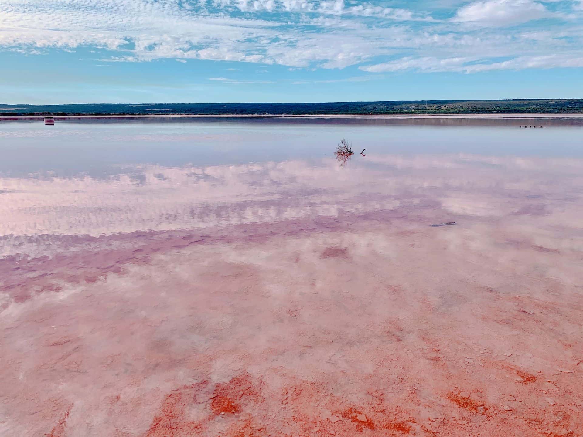 Western Australia’s Incredible Pink Lakes | D'Guy Journeys